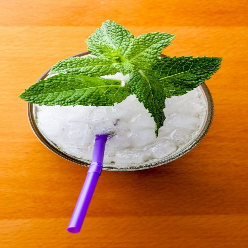 Spicy Jalapeno Mojito