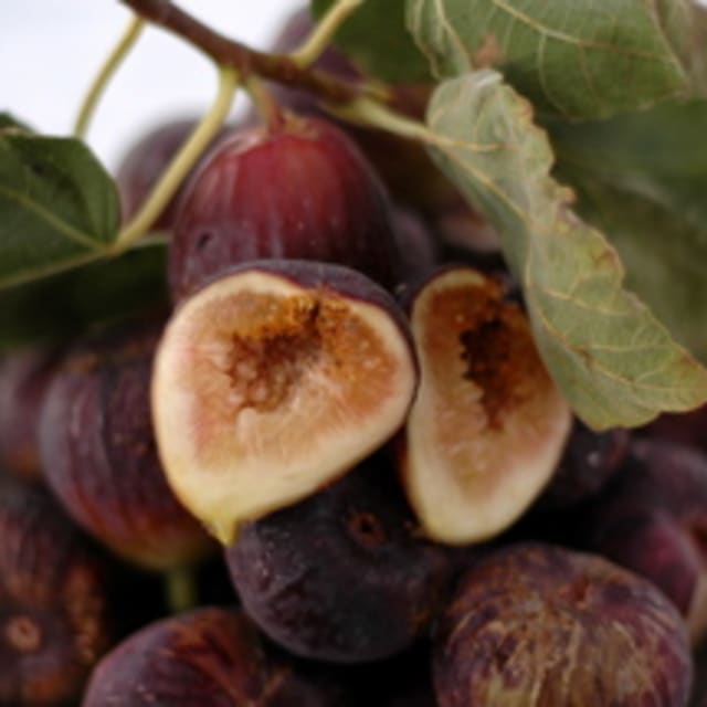 Figs | BigOven