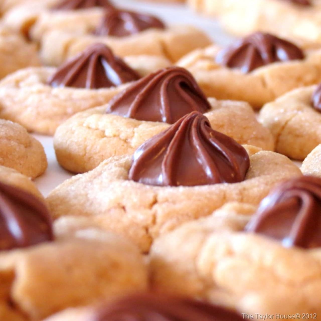 Chocolate Star Cookies