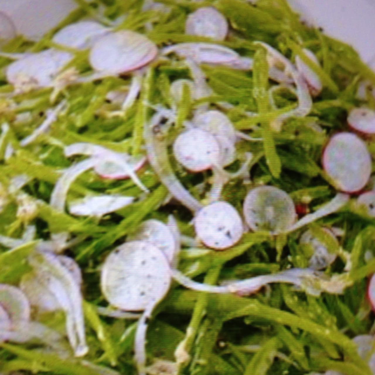 Snow pea-radish slaw