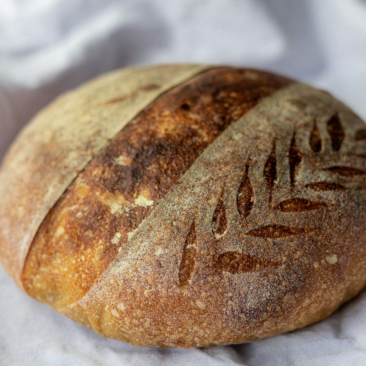 Sour Dough Bread - IG
