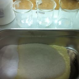 Perfect Ice Cream in a Pacojet