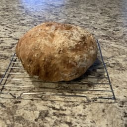 Super Easy Crusty Bread