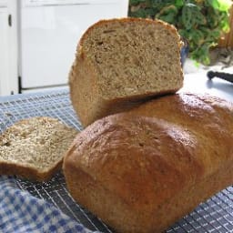 Whole-Wheat Bread