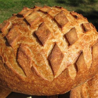 Best French Bread Boule