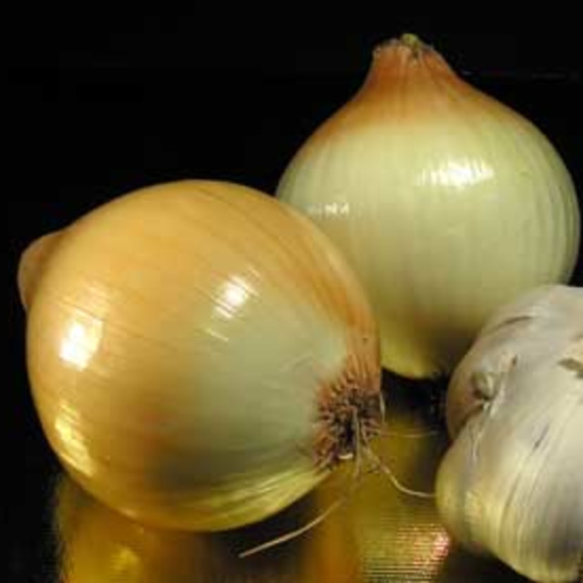 Walla Walla Onion | BigOven