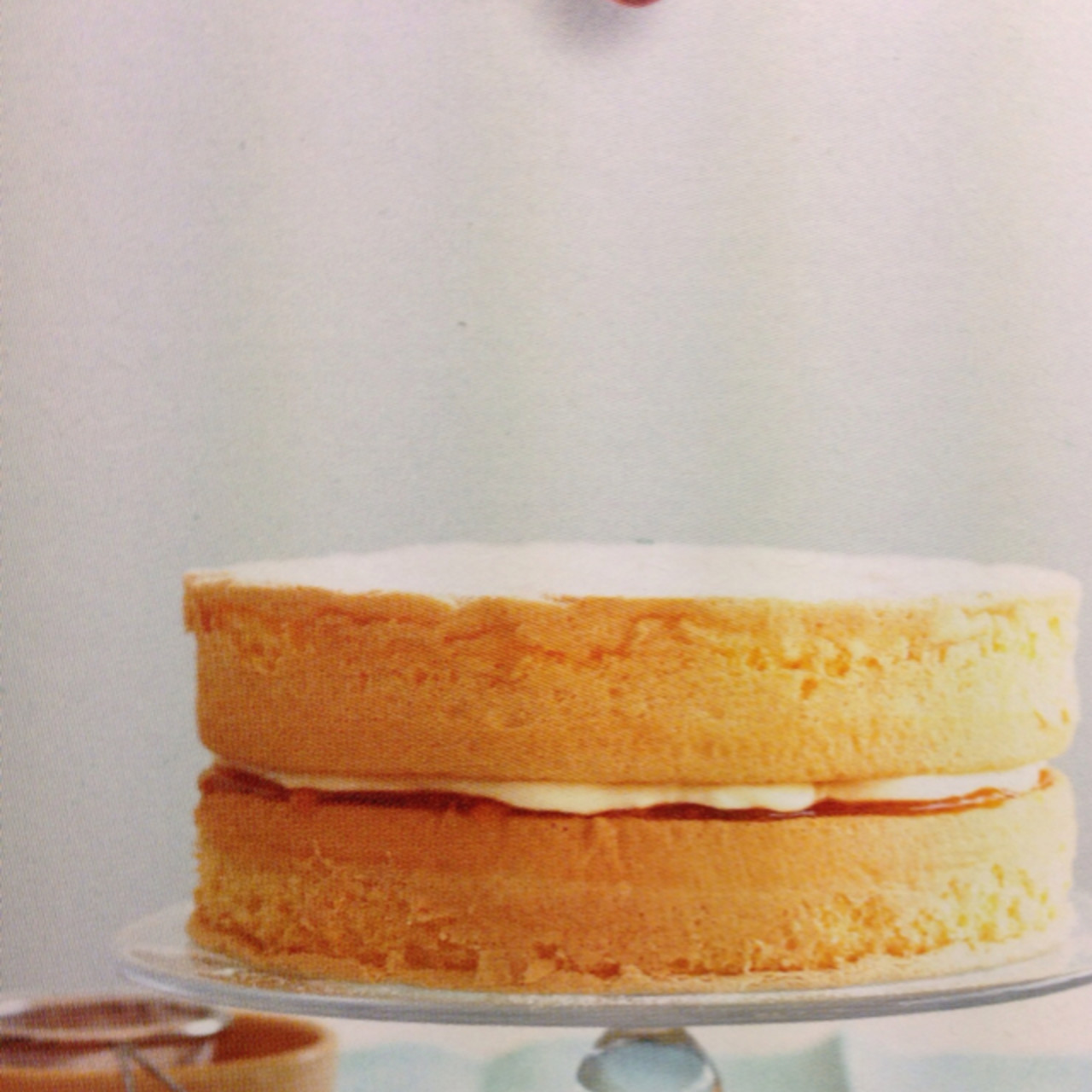 Light Sponge Cake