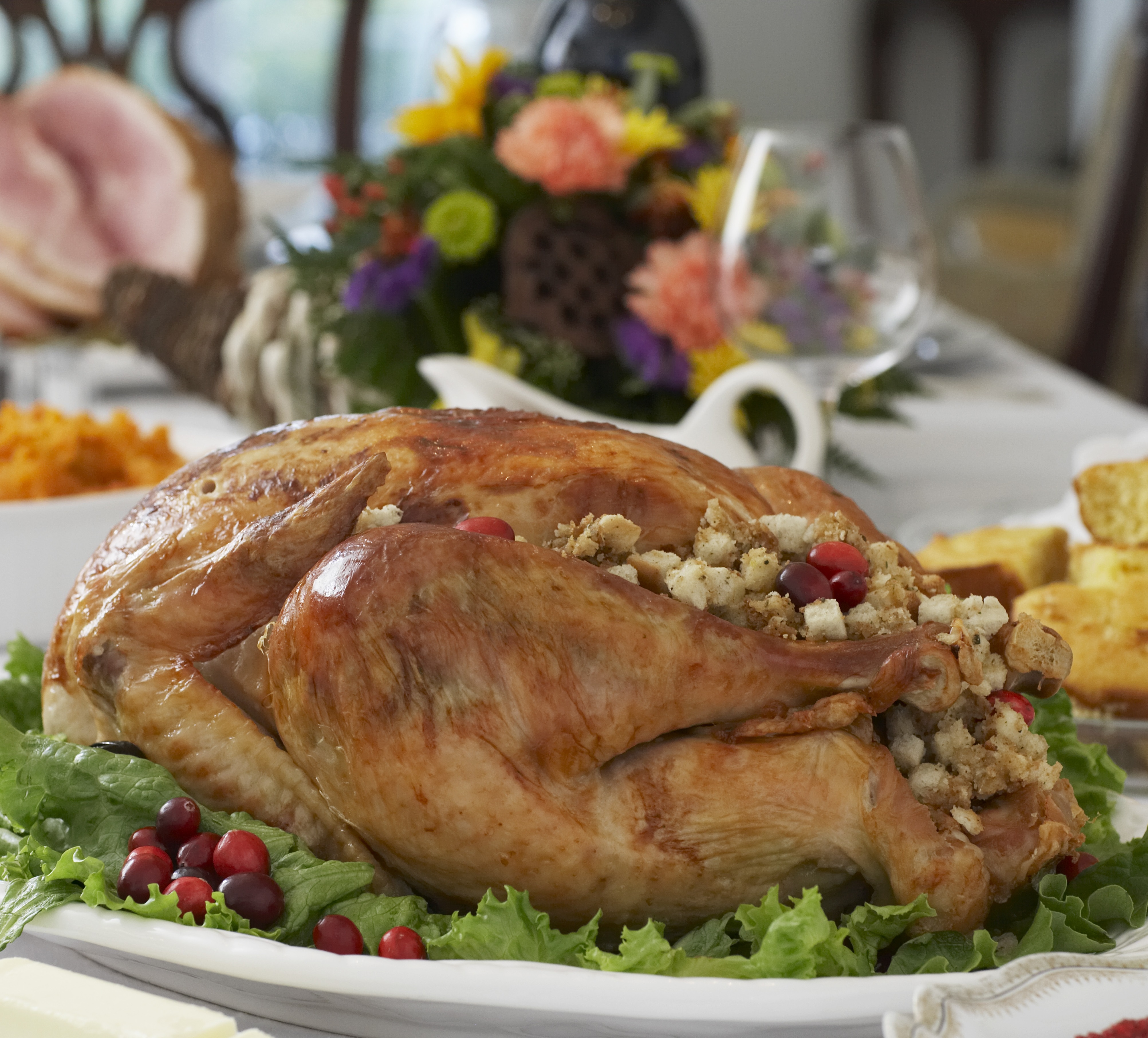 Thanksgiving Turkey