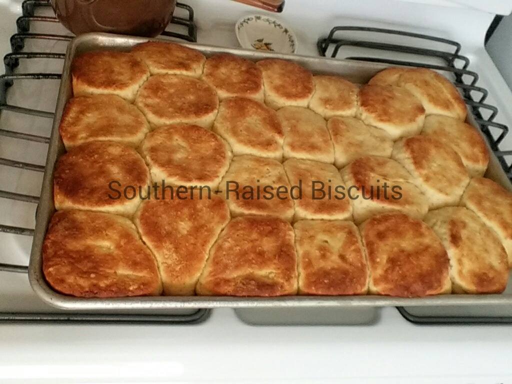 Betty's Best Southern Raised Biscuits