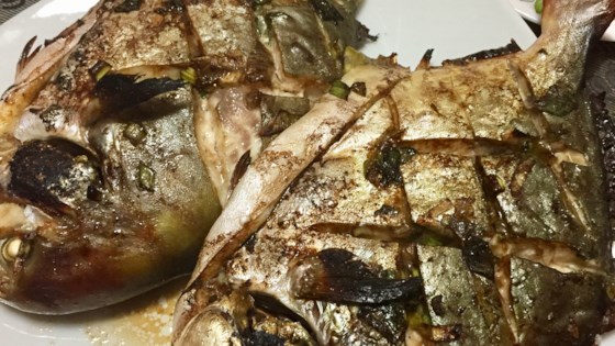 Baked Pompano