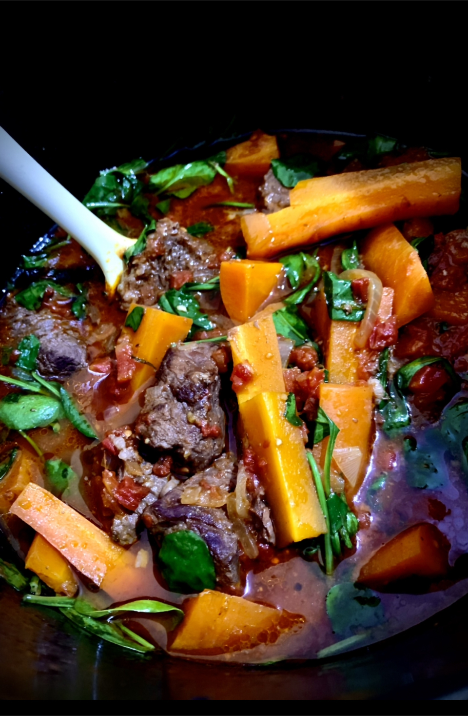 Brazilian Pressure Cooker Beef Stew