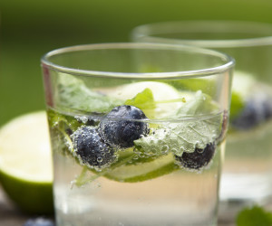 Blueberry Mojito - BigOven