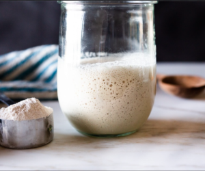 Biga (Italian Bread Starter)