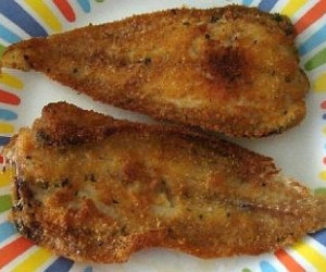 Breaded Filet Of Sole - BigOven