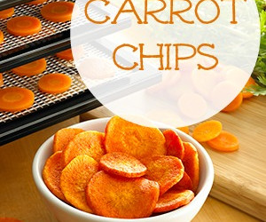 Carrot Chips