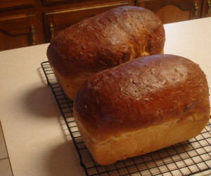 Honey Wheat Bread