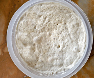 Italian Country Bread with Biga