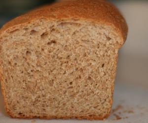 Whole wheat bread