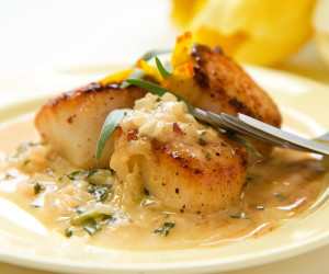 Butter-poached Scallops